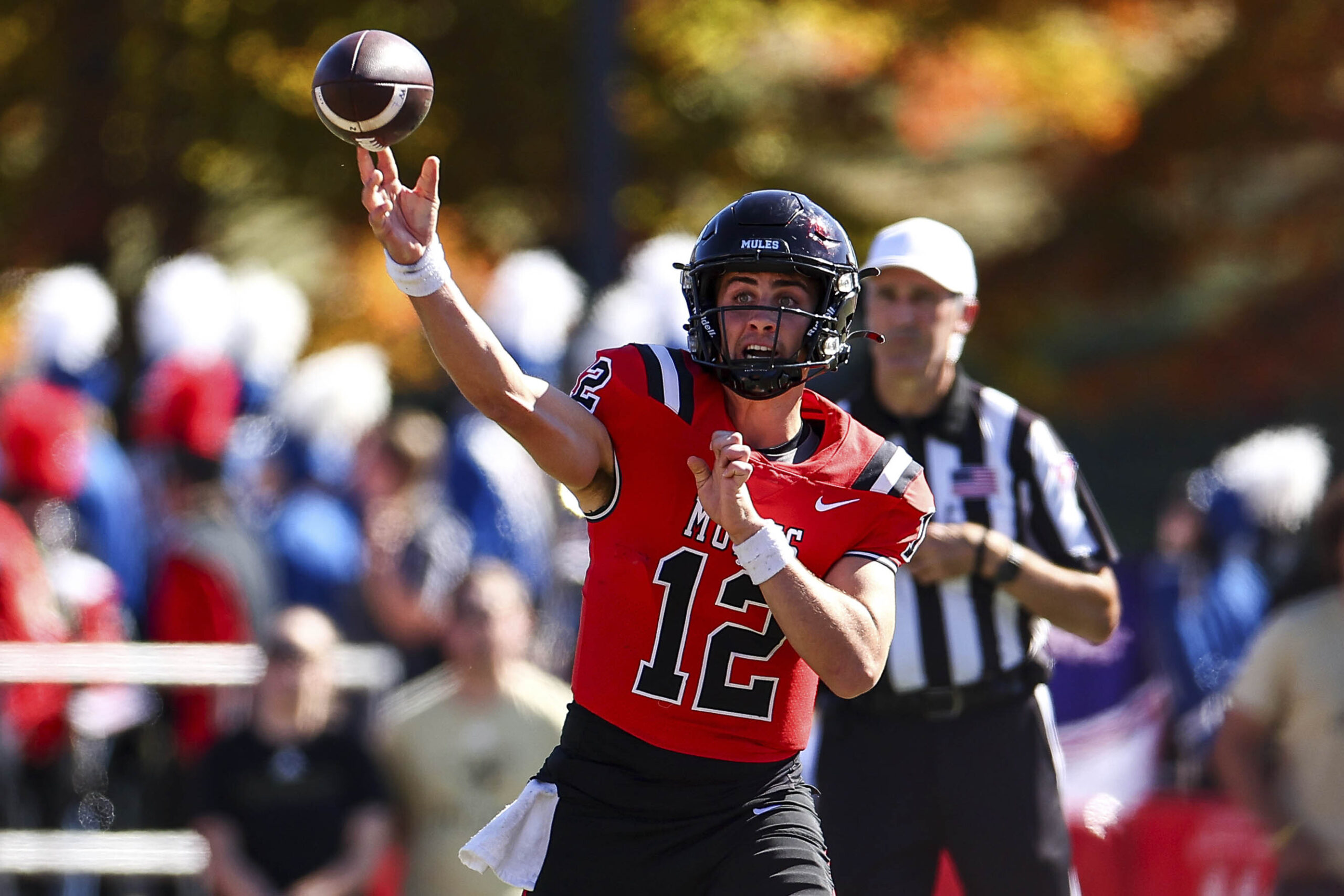 Zebrowski, rest of KU program proud of son’s accomplishment | News ...